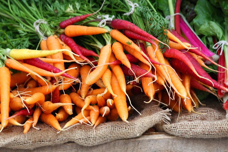 Organic Carrots stock photo. Image of gardening, vegetable - 35358958