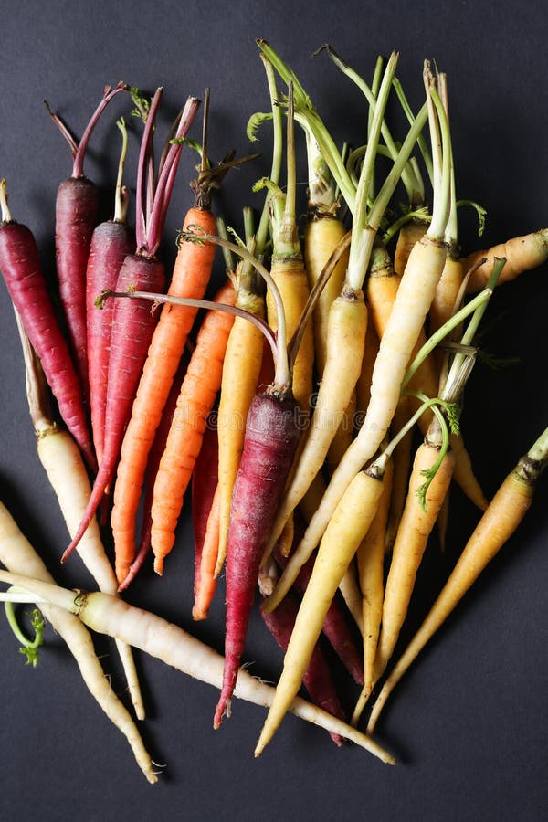 Colorful carrots stock image. Image of gourmet, natural - 69338309