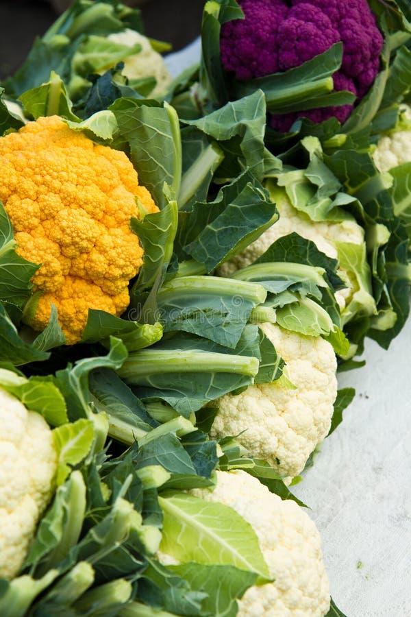 Cauliflower stock image. Image of agriculture, plenty - 22840161