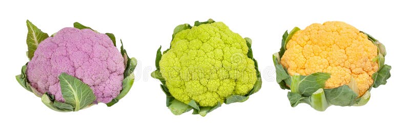 Colorful cauliflower stock image. Image of purple, tasty - 232583259