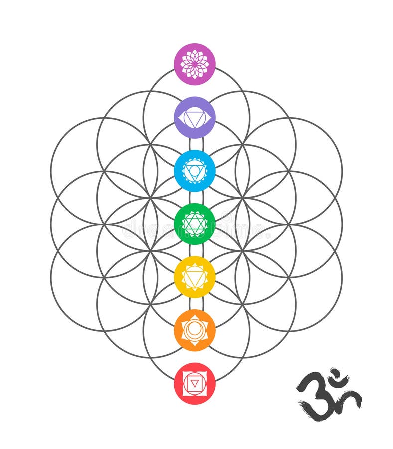 Chakras Sacred Geometry Stock Illustrations – 912 Chakras Sacred ...