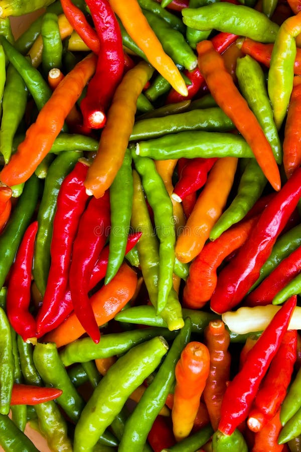 Colorful Chili in Green Red Orange Color Stock Photo - Image of ...