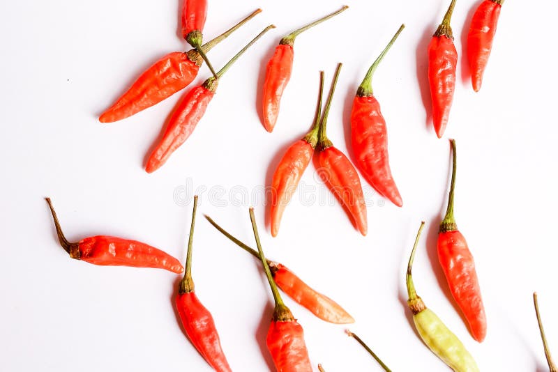 Colorful Chilli on White Background Using Fresh Red. it Has Spicy Stock ...
