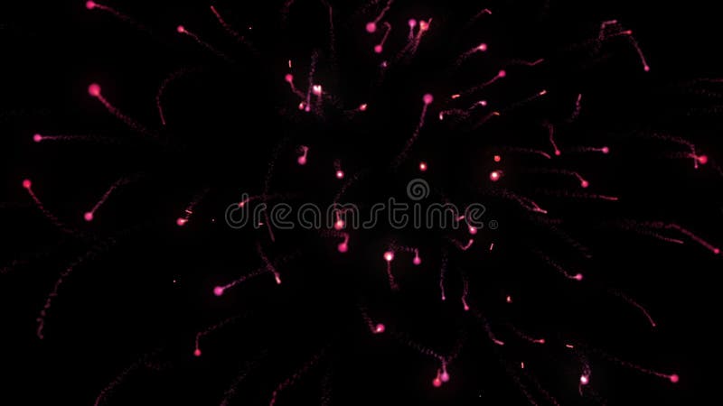 Colorful Circle Shockwave Spark Particle Effect Animation Stock Footage - Video of flowing ...