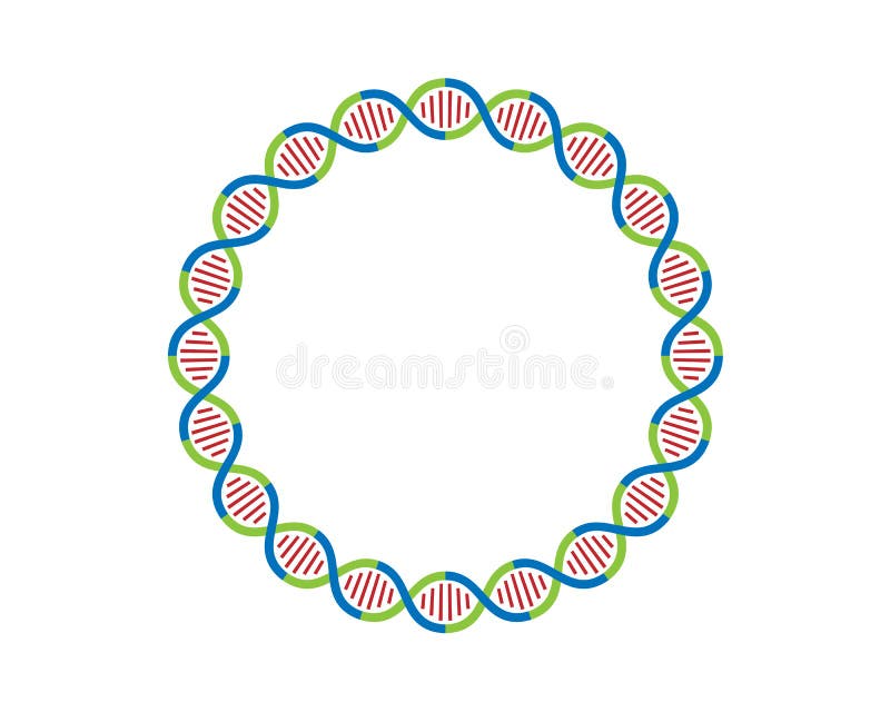 Colorful Circular DNA Strands Loop 20 Parts Stock Vector - Illustration ...