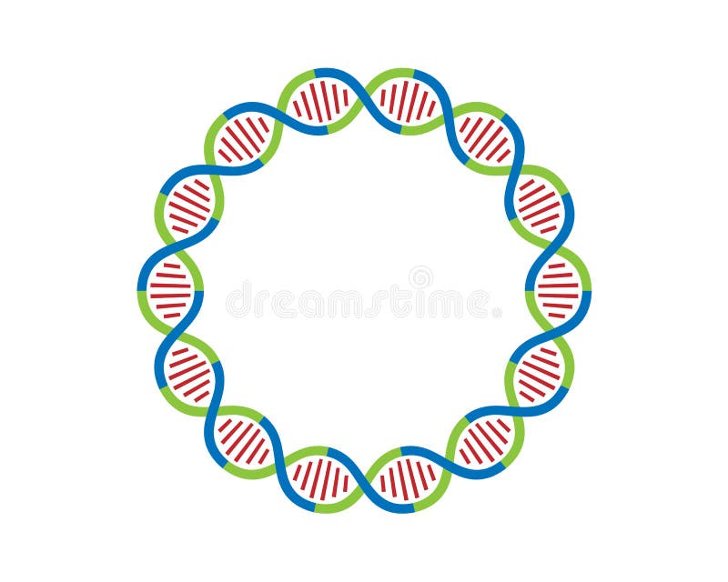 Circular Molecule Dna Stock Illustrations – 531 Circular Molecule Dna ...
