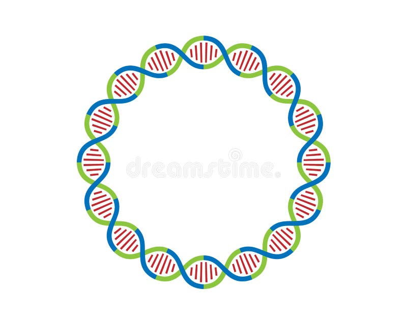 Colorful Circular DNA Strands Loop 16 Parts Stock Vector - Illustration ...