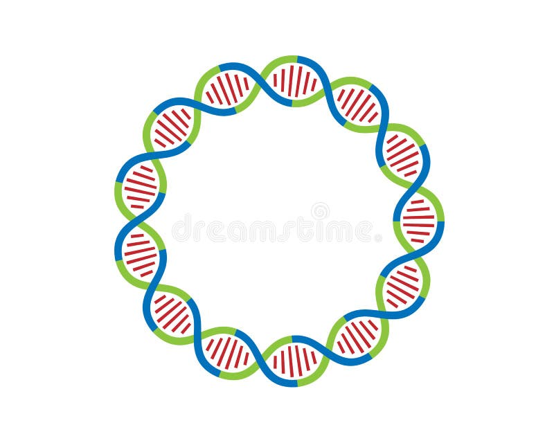 Colorful Circular DNA Strands Loop 13 Parts Stock Vector - Illustration ...