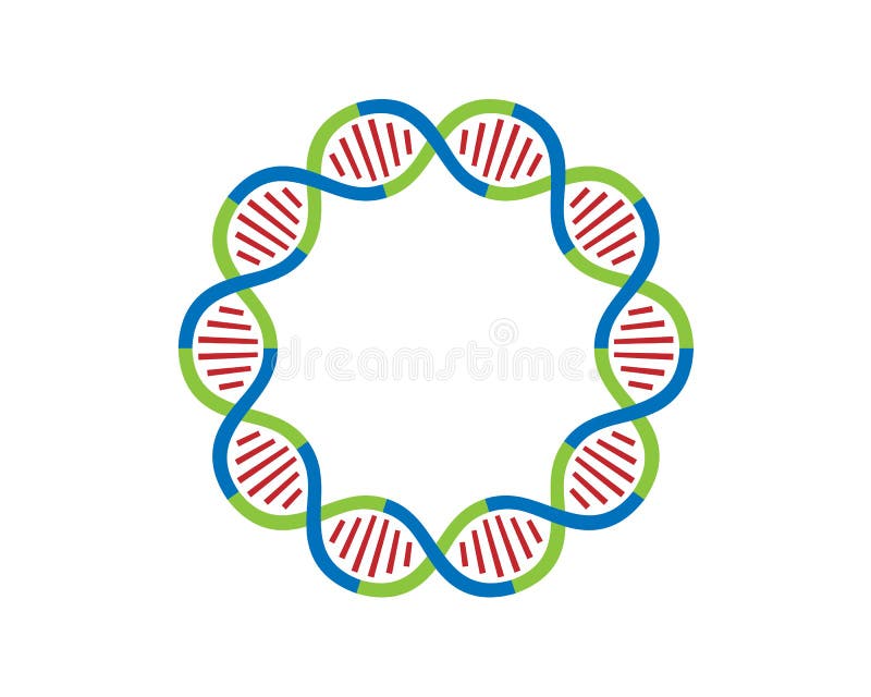 Circular Molecule Dna Stock Illustrations – 531 Circular Molecule Dna ...