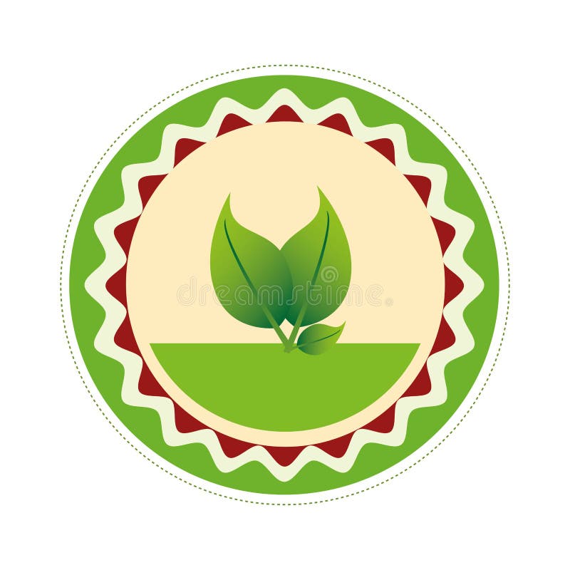 Colorful Circular Frame with Plant with Leaves Stock Vector ...