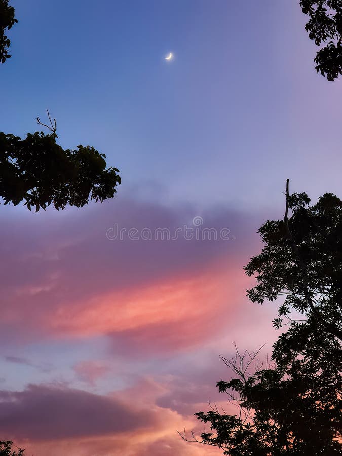 Colorful Cloud in Sunset Sky with Crescent Moon and Trees Stock Image ...