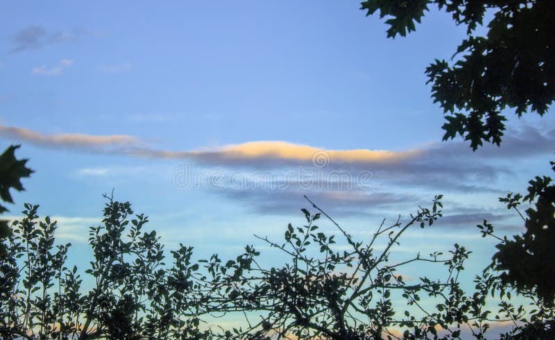 Colorful Clouds between Branches Stock Photo - Image of neat, heat ...