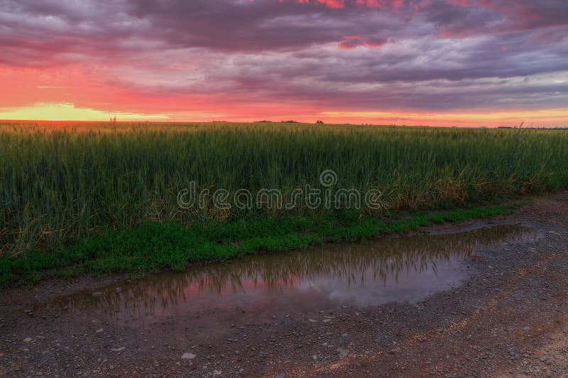 Colorful Clouds Over the Field in the Evening Stock Image - Image of ...