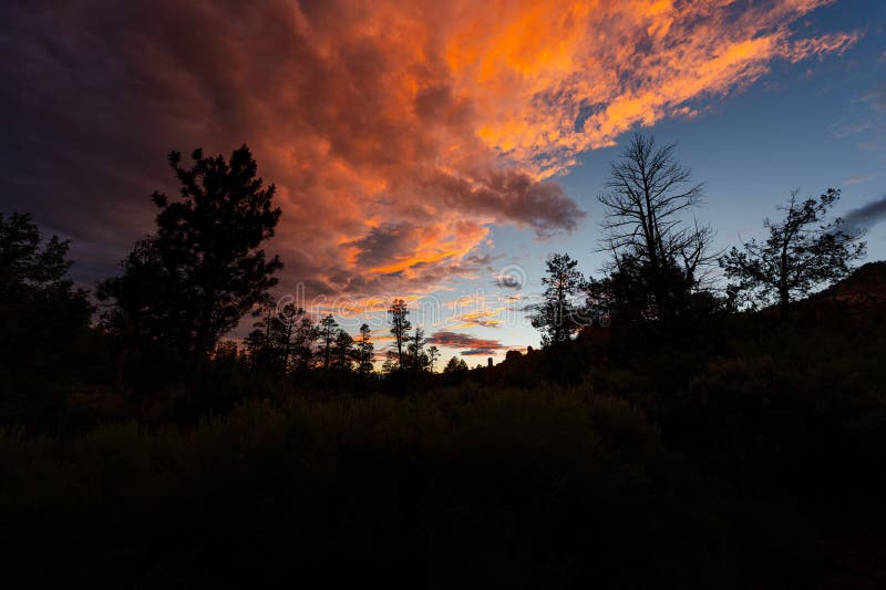 Colorful Clouds at Sunset Moving Across Sky Over Forest Stock Photo ...