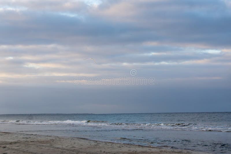 Atlantic Ocean Beach at Dawn Stock Photo - Image of cloud, cloudy: 325912504