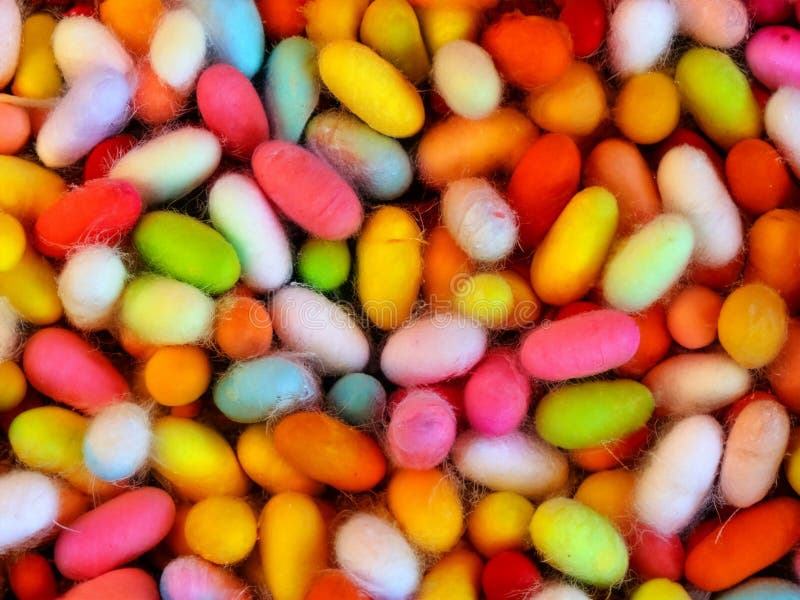 Colorful of Cocoons of the Silkworm in a Basket Stock Image - Image of ...