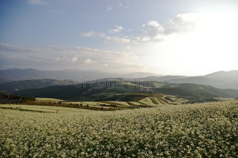 Colorful cole land stock image. Image of beauty, cole - 5000797