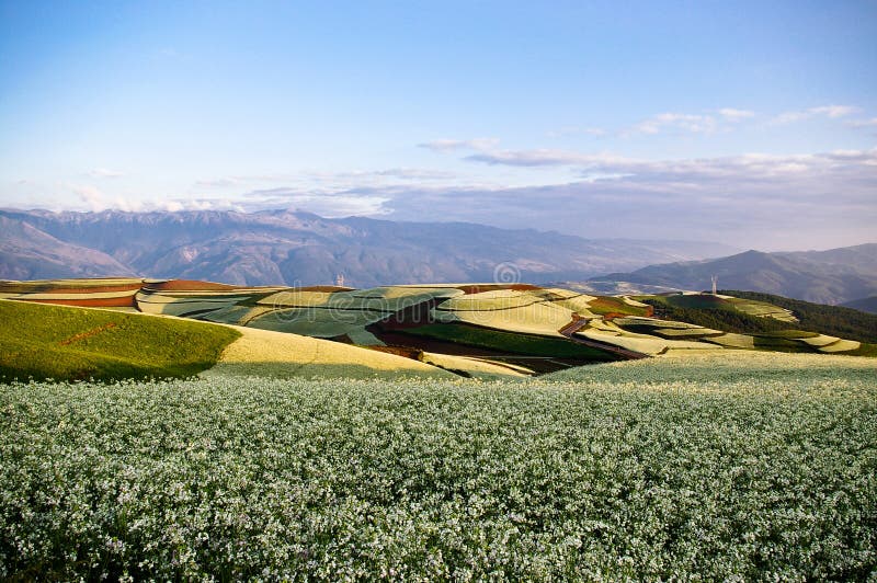 Colorful cole land stock photo. Image of chinese, china - 5000834
