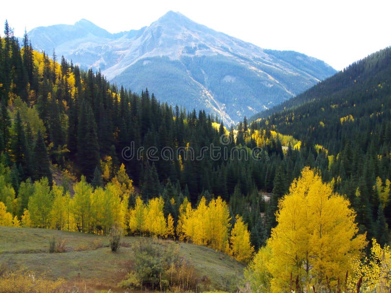 Colorful Colorado stock photo. Image of forest, nature - 19186908