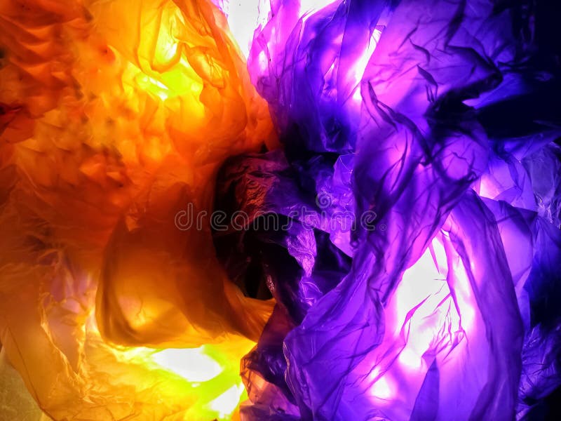 Colorful stock image. Image of blue, flower, yellow - 237655021