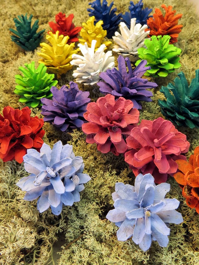 Colorful cones stock image. Image of pine, colored, colors - 28034263