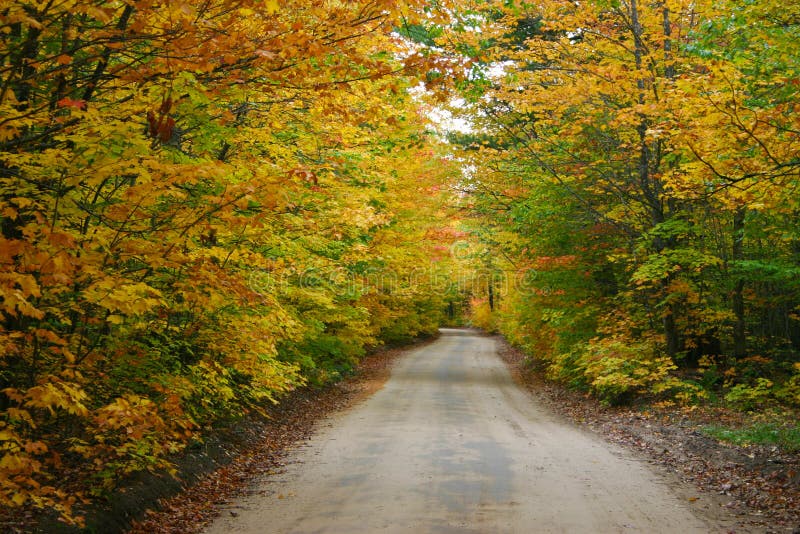 Colorful country road stock image. Image of road, autumn - 21944745