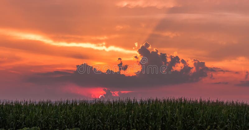 Colorful Countryside Sunset Stock Image - Image of grain, harvest ...