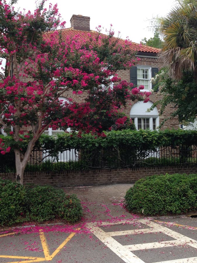 Colorful courtyard stock image. Image of floral, courtyard - 44008141