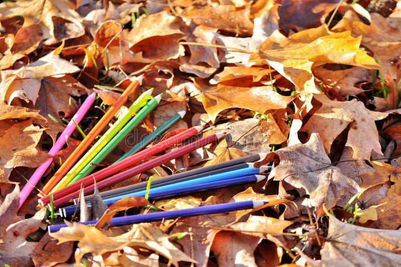 Colorful Crayons among the Autumn Leaves. Stock Photo - Image of draw ...