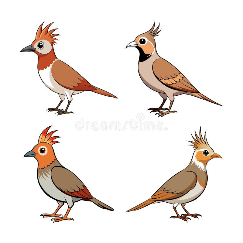 Colorful Crested Lark Artwork Stock Vector - Illustration of graphic ...