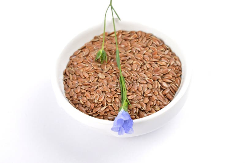 Common Flax, Also Known As Linum Usitatissimum, Produces Dry Seed ...