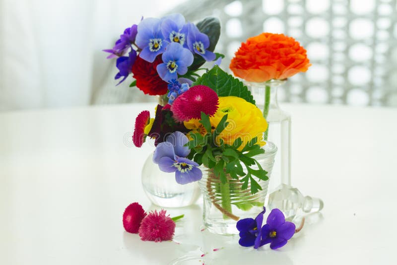 Colorful cut flowers stock image. Image of composition - 73469331