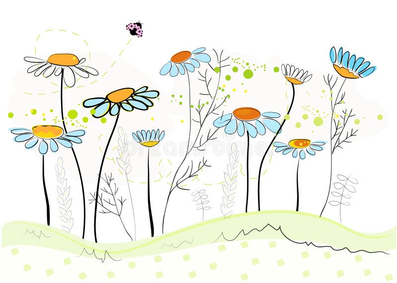 Daisy Field Hand Drawing Engraving Illustration Isolated on Whit Stock ...