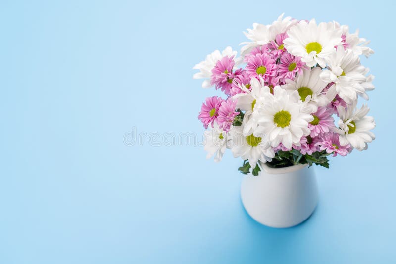 Colorful Daisy Flowers Bouquet Stock Image - Image of background, vase ...