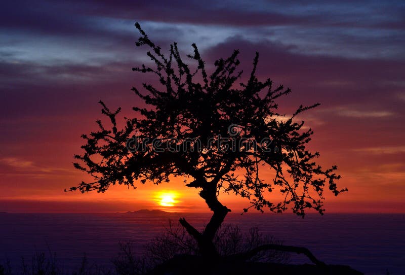 Colorful Dawn with Imposing Electrical Tower Stock Image - Image of ...