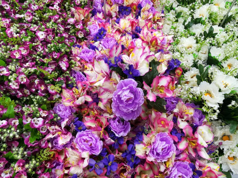 Colorful Decorative Flowers Stock Photo - Image of leaf, decorated ...