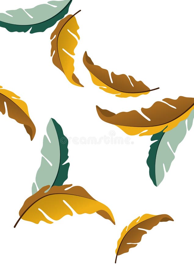 Colorful Decorative Oak Leaves on a White Background, Falling Foliage ...