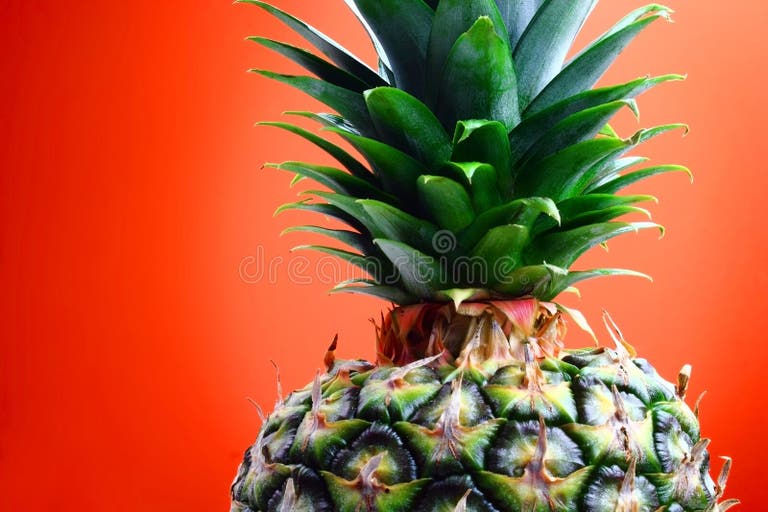 57,993 Colorful Pineapple Stock Photos - Free & Royalty-Free Stock ...