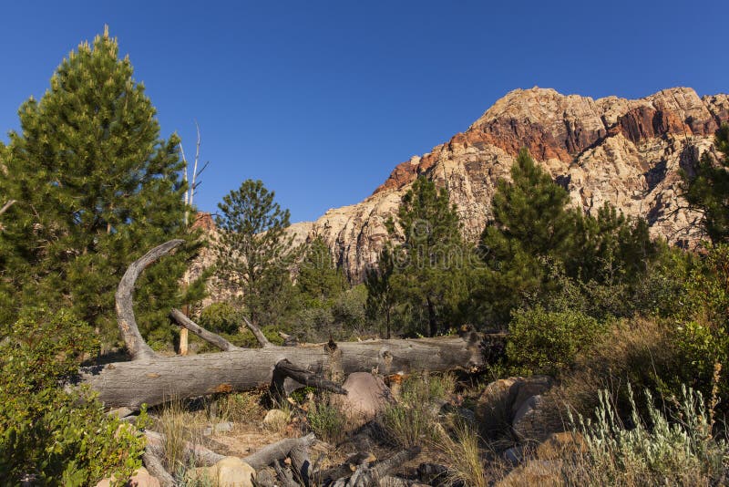 Red Rock Mountains in Southern Utah, USA. Stock Photo - Image of ...