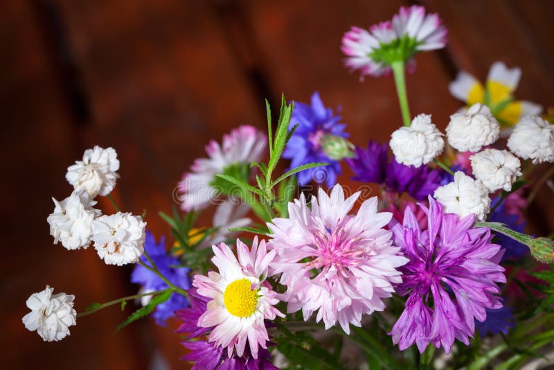 Colorful Different Flowers Bouquet Stock Image - Image of beautiful ...