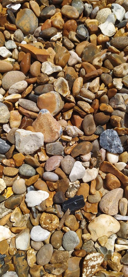 Colorful, Different Types of Stones and Shells on the Beach Stock Photo ...