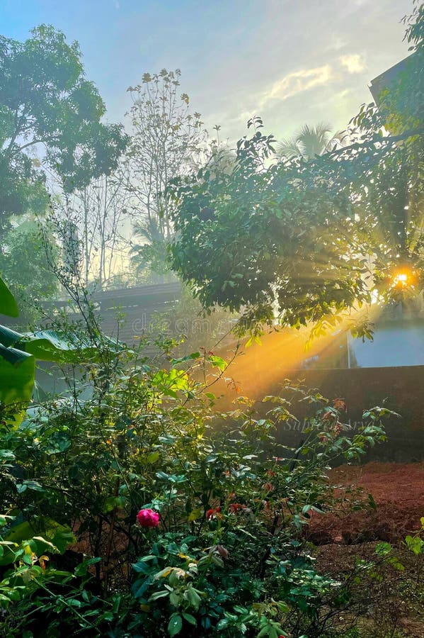 A Colorful Display of Sunlight in the Morning Stock Image - Image of ...