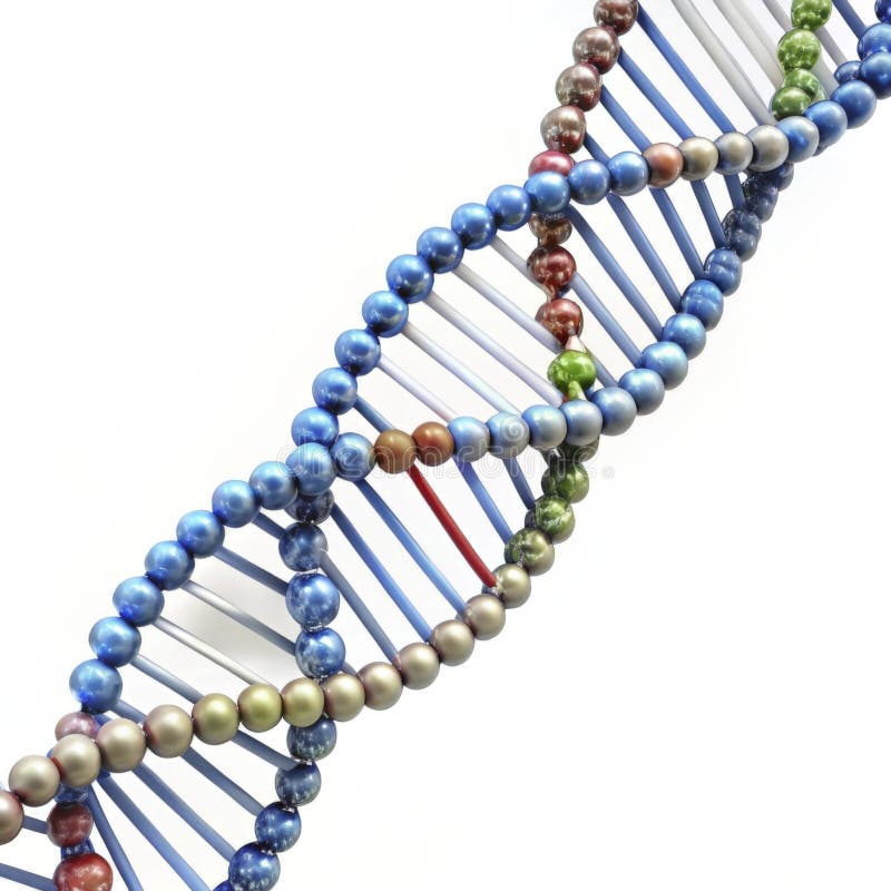 Colorful Dna Double Helix Rotating on White Background, Representing ...