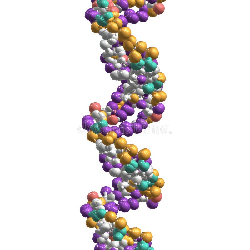 Colorful Dna Helix: Molecular Structure and Genetic Science Concept ...