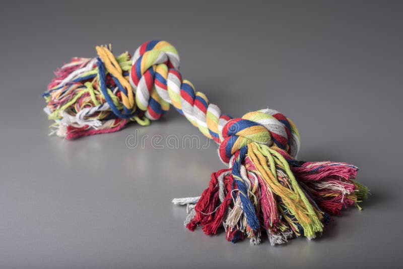 Colorful Dog Cotton Rope for Games and Fun, Grey Background, Top Front ...