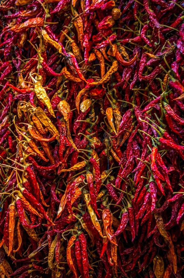 Colorful Dried Chilli Peppers at the Italian Bazaar Stock Image - Image ...
