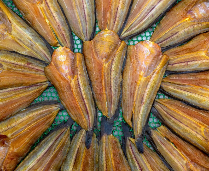 Colorful dried fish. stock image. Image of healthy, seafood - 305359423