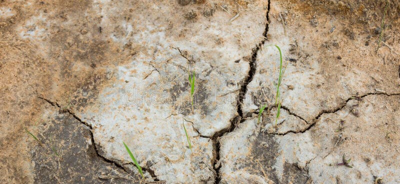 Salt on the soil surface stock photo. Image of abstract - 121465478