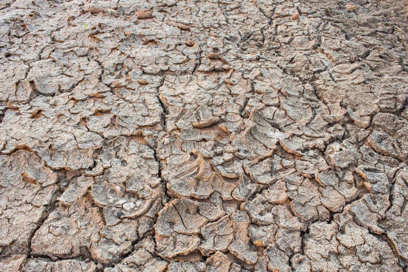 Salt on the soil surface stock image. Image of land - 121466205