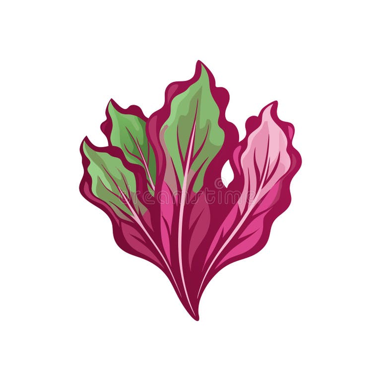 Colorful Dulse Illustration with Unique Textures Stock Photo ...